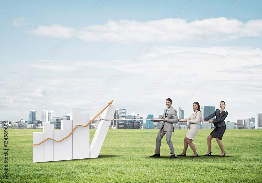 Businessteam working in collaboration making diagram grow and progress ...