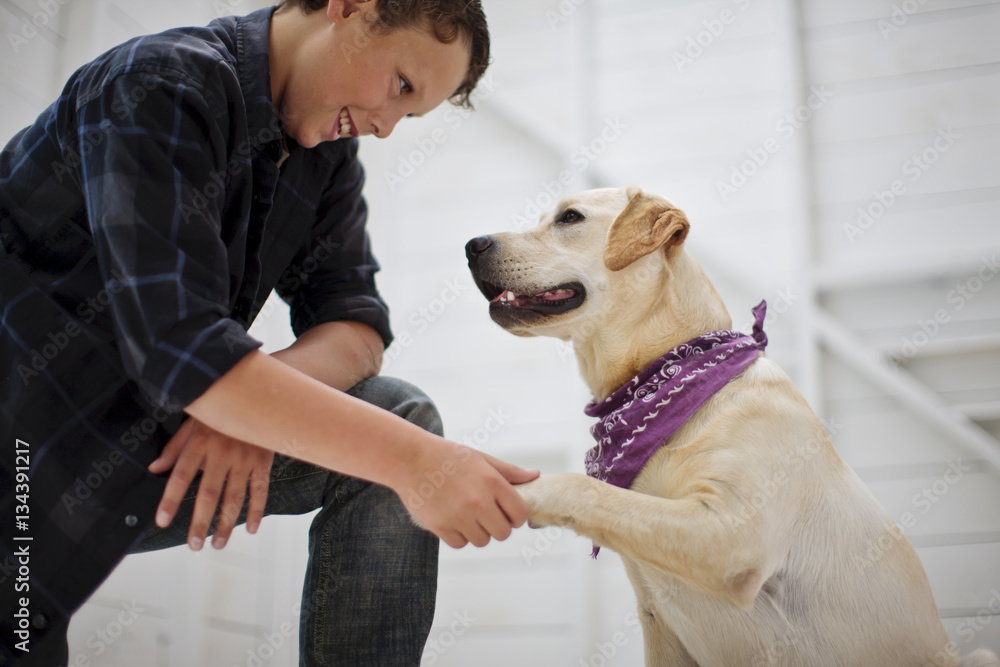 Why Do Dogs Like To Shake Hands