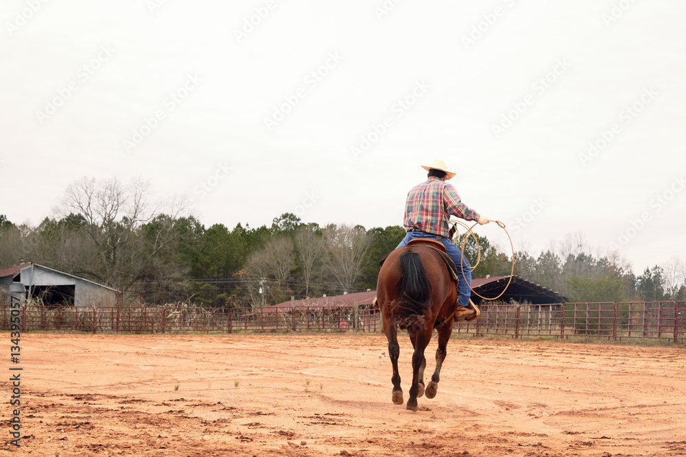 Cowboy in hat, blue jeand and checkered shirt riding horse and ...
