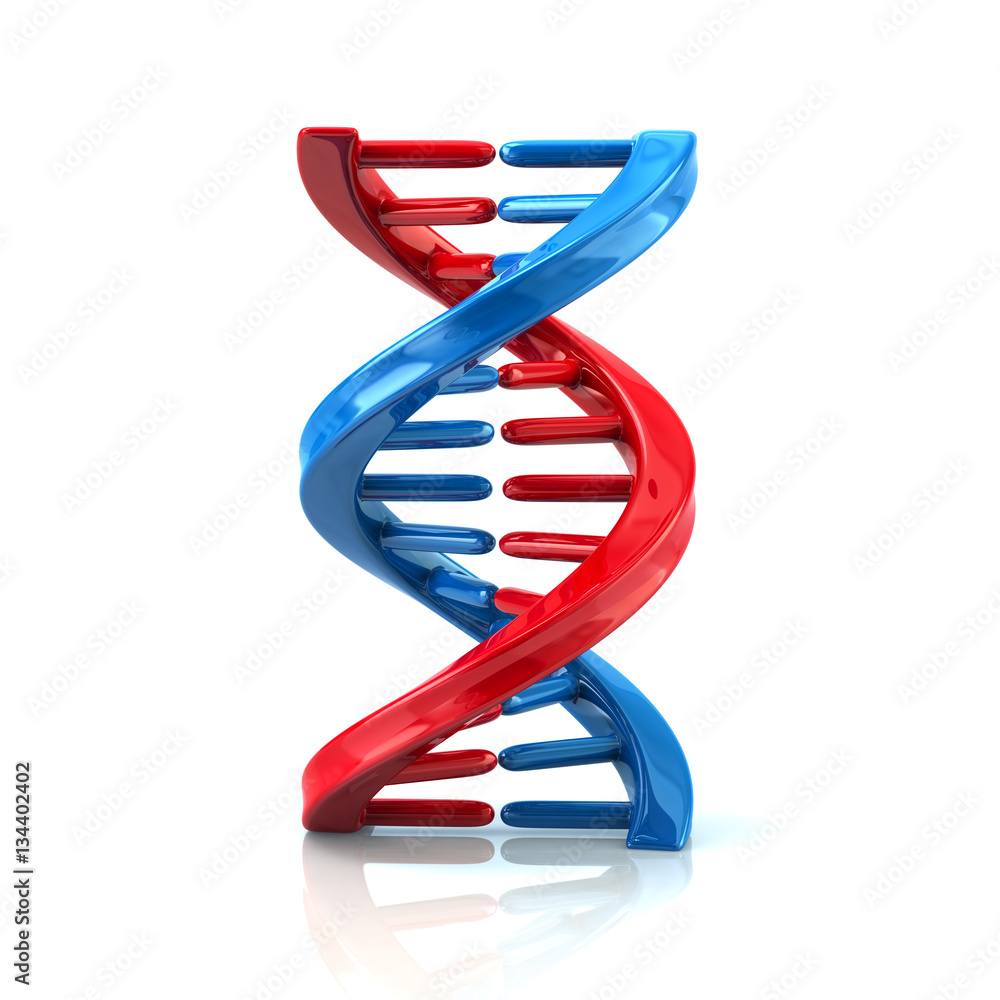 Blue and red DNA molecule icon Stock Illustration | Adobe Stock