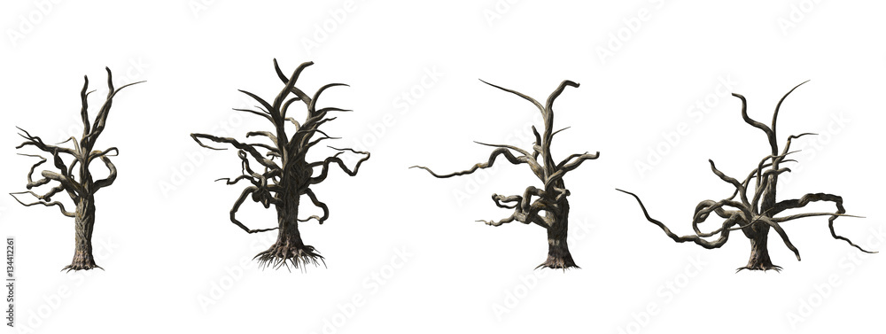 Dead tree isolated on white background Stock Photo | Adobe Stock