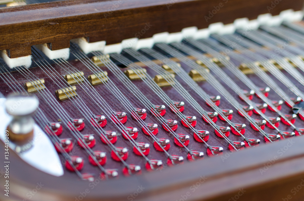 Cimbalon detail on wedding day Stock-Foto | Adobe Stock