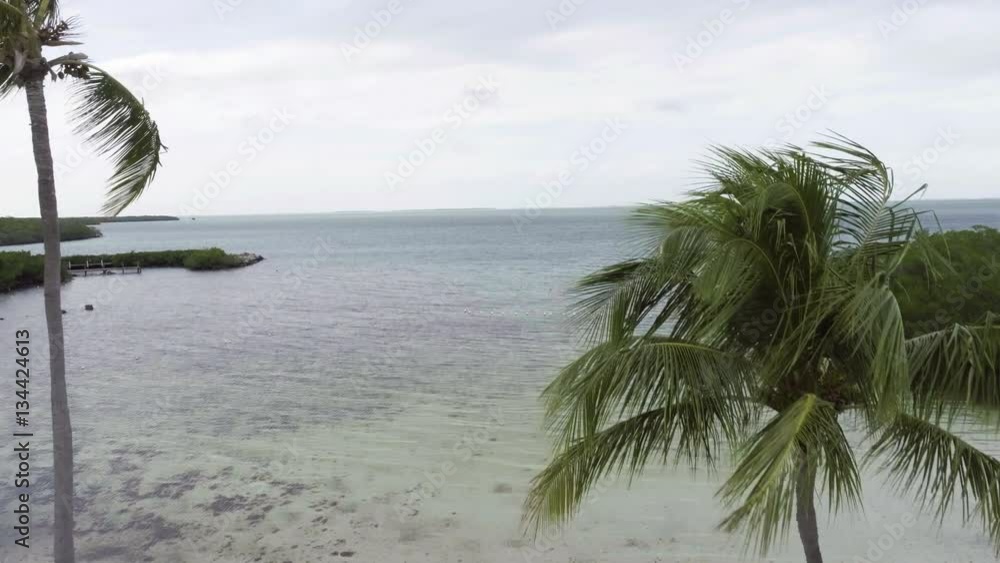Paradise Beach Scene Aerial Shot Flying By Palm Tree Stock Video ...