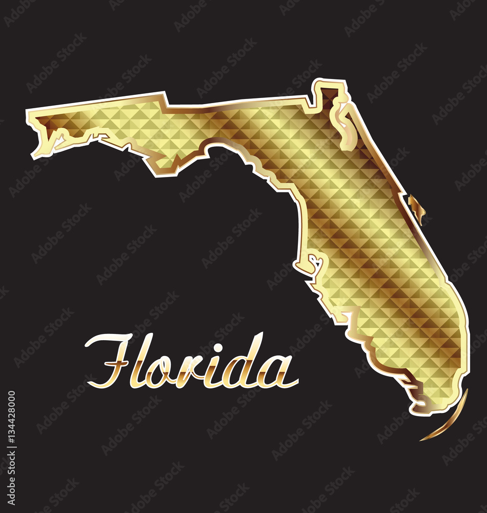 Gold Florida Map vector image Stock Vector | Adobe Stock