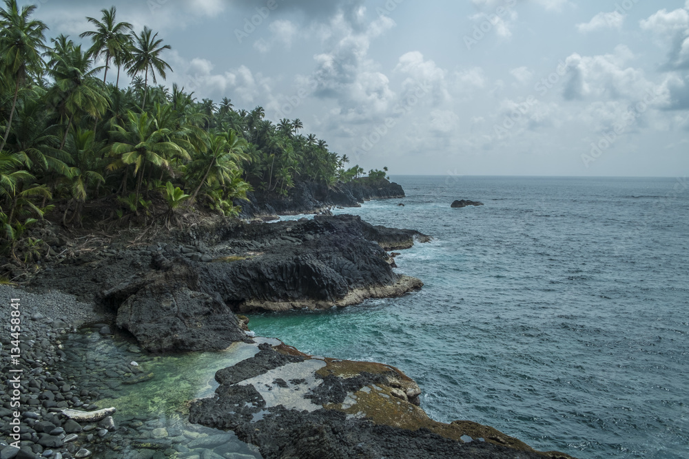 Praia tropical com piscinas oceânicas, vegetação bem como palmeiras ...