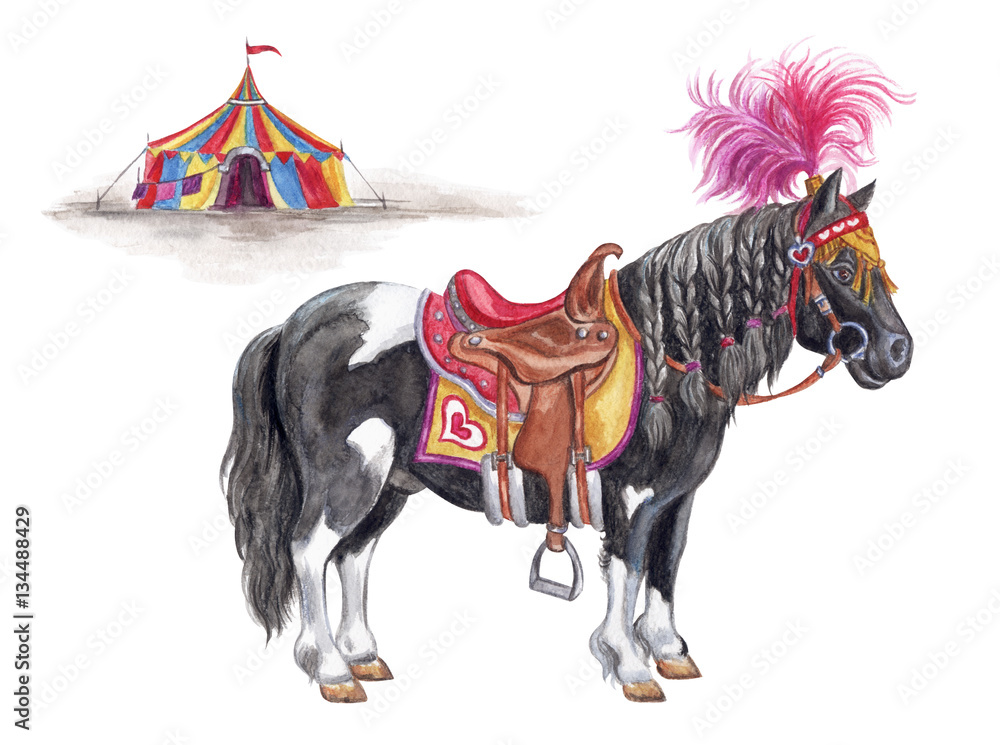 Circus Ponies and circus tent, watercolor illustration. Stock ...