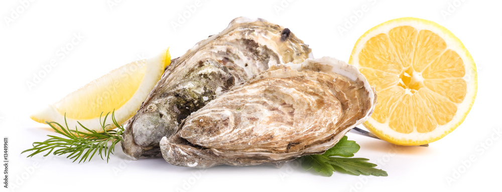 Frische austern Stock-Foto | Adobe Stock