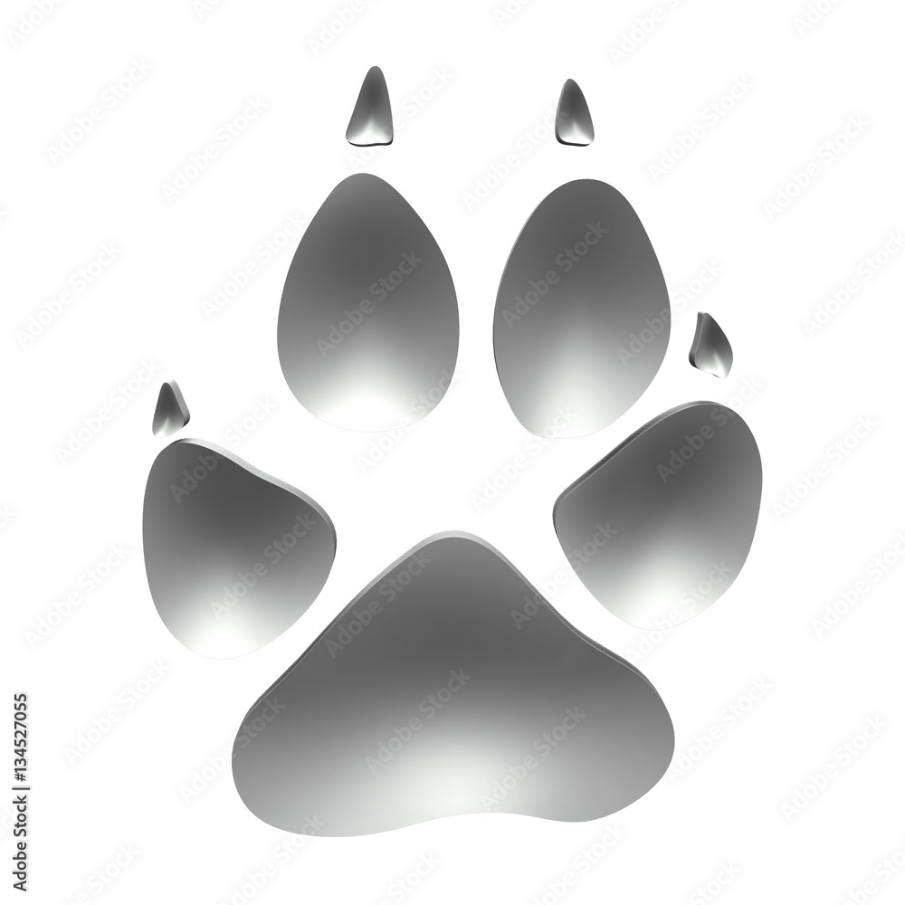 Grey Wolf Tracks