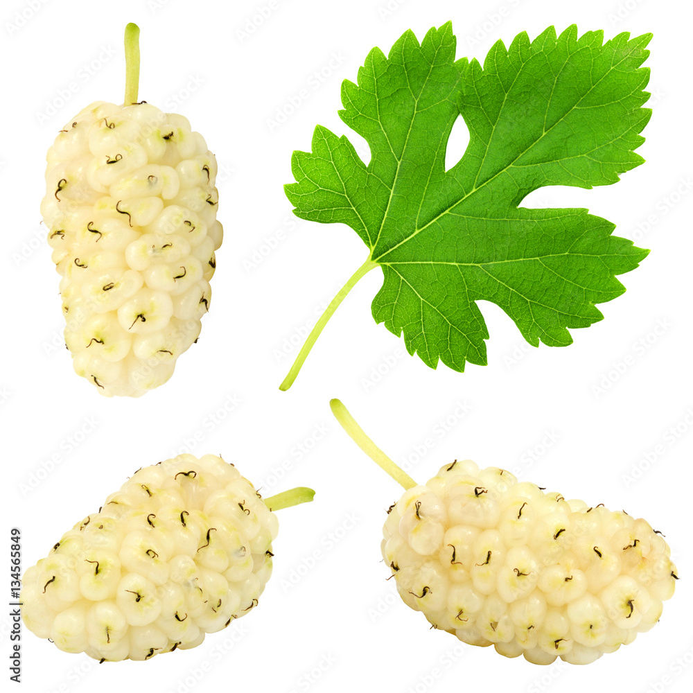 Set of fresh ripe white mulberry berry with leaf isolated on white ...
