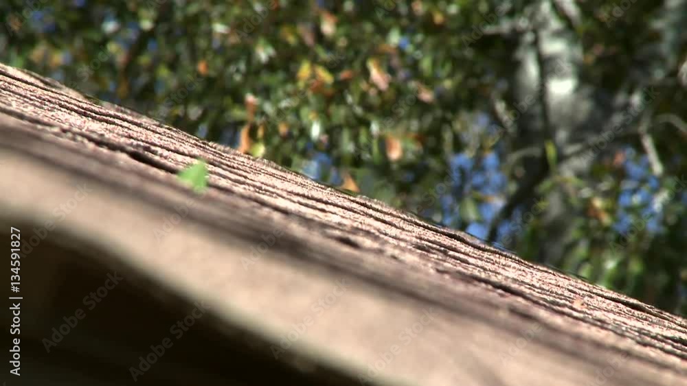 Heat Waves Ripple Above Roof on Hot Summer Day Stock Video | Adobe Stock