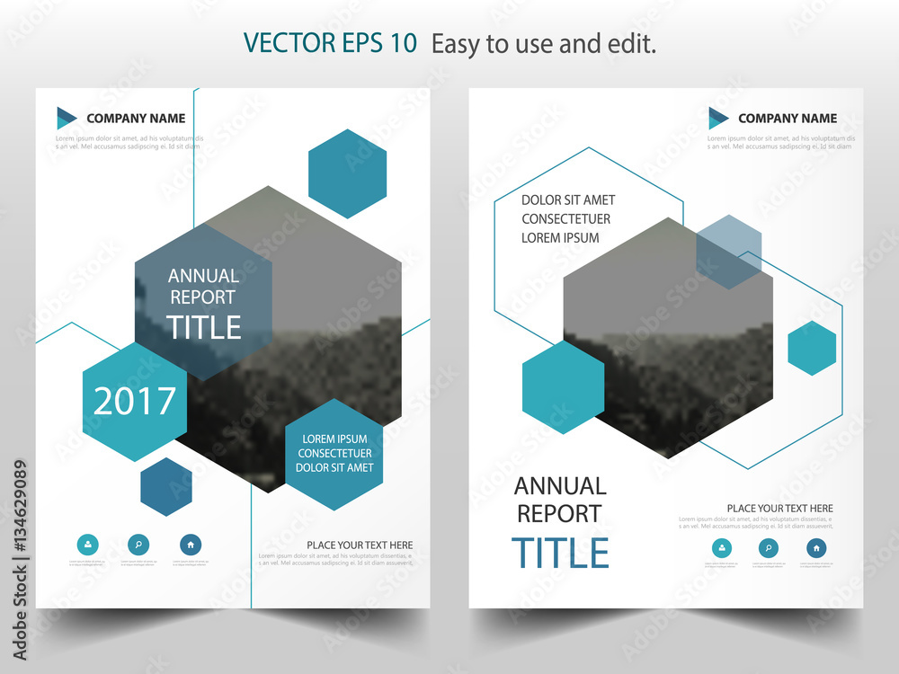 Blue hexagon Vector business proposal Leaflet Brochure Flyer template ...