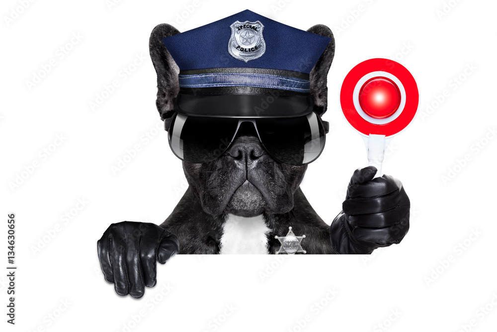 POLICE DOG ON DUTY WITH stop sign and hand , isolated on white blank ...