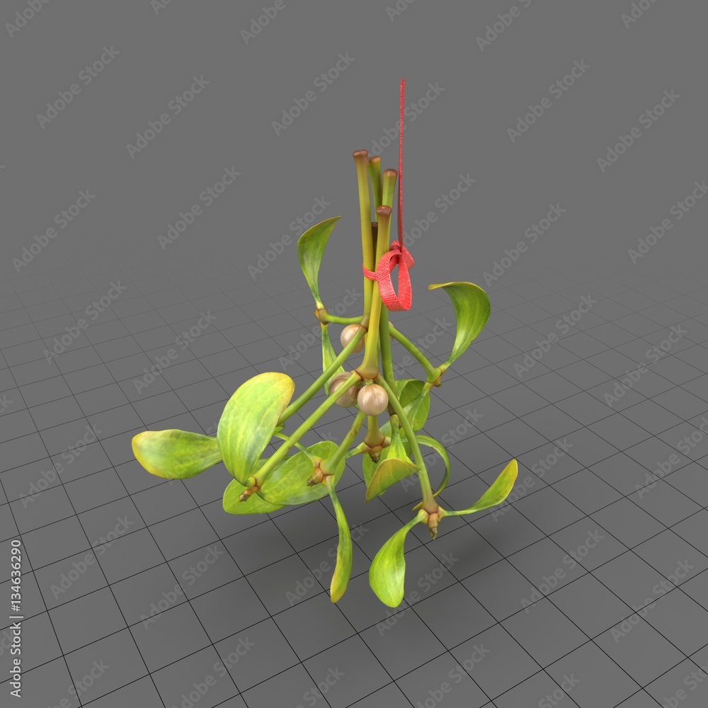 Mistletoe Stock 3D asset | Adobe Stock