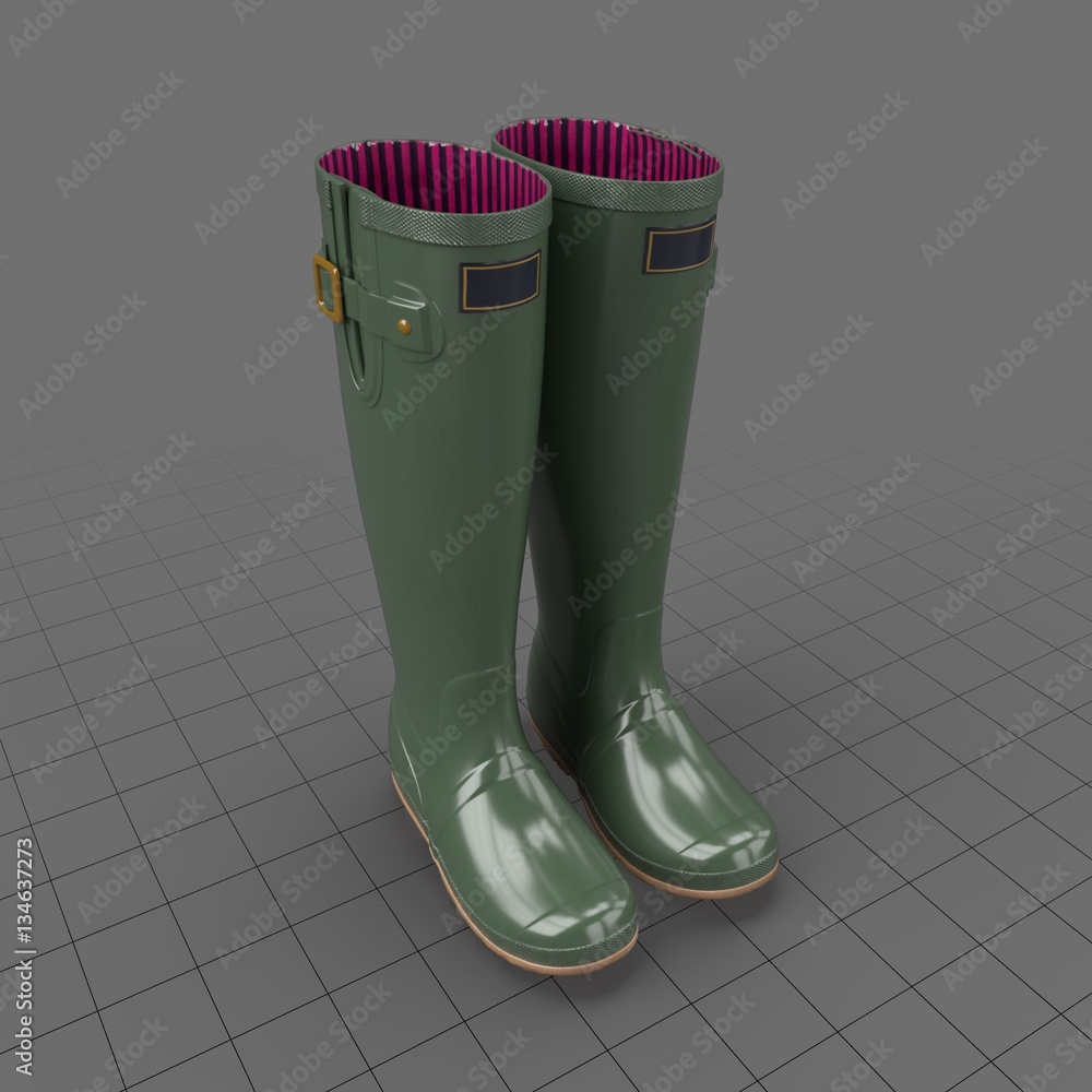 Rainboots Stock 3D asset | Adobe Stock