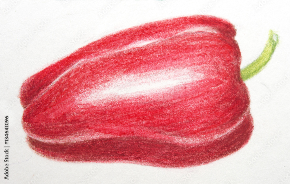 Bell Pepper Drawing