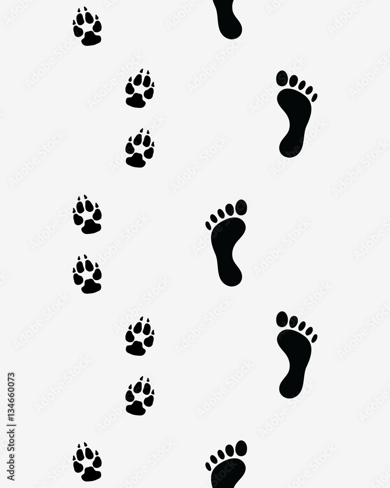 Prints of human feet and dog paws,seamless pattern, vector Stock Vector ...