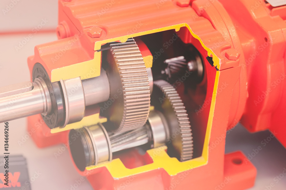 cross-section of the vertical cylindrical gear Stock Photo | Adobe Stock