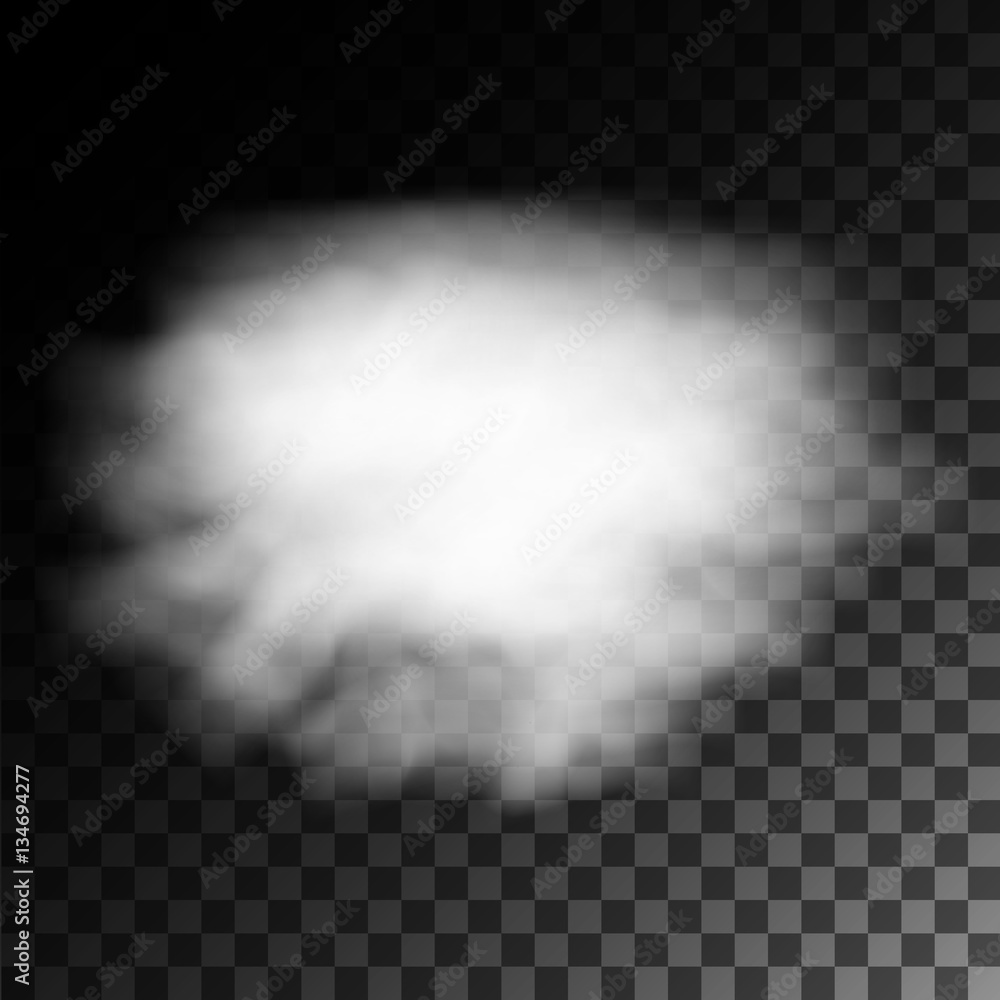 Cloud isolated on transparent background. White cloudiness, mist or ...