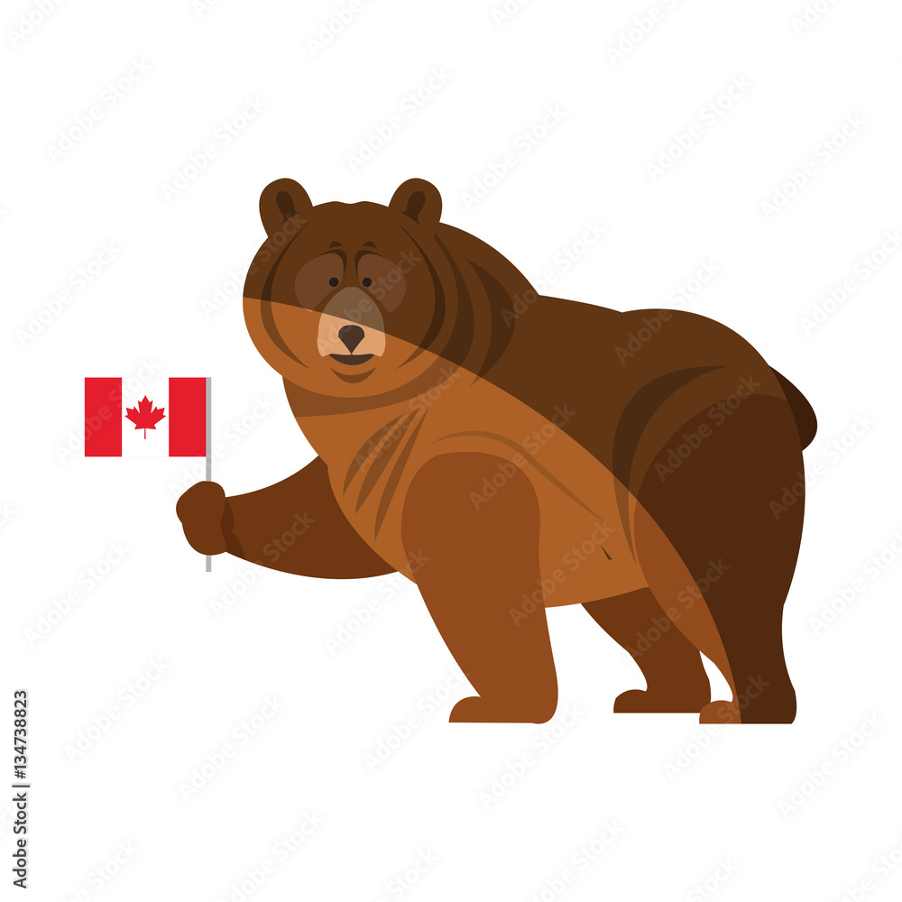 bear cartoon with flag of canada icon over white background. colorful ...