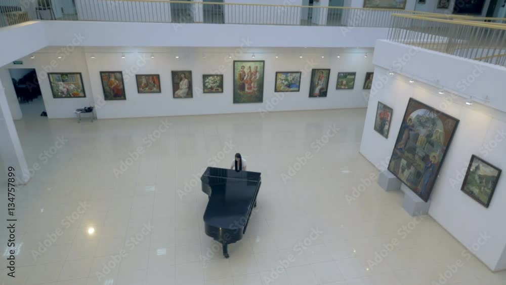 Vidéo Stock Musical pianist playing classical grand piano in a center ...