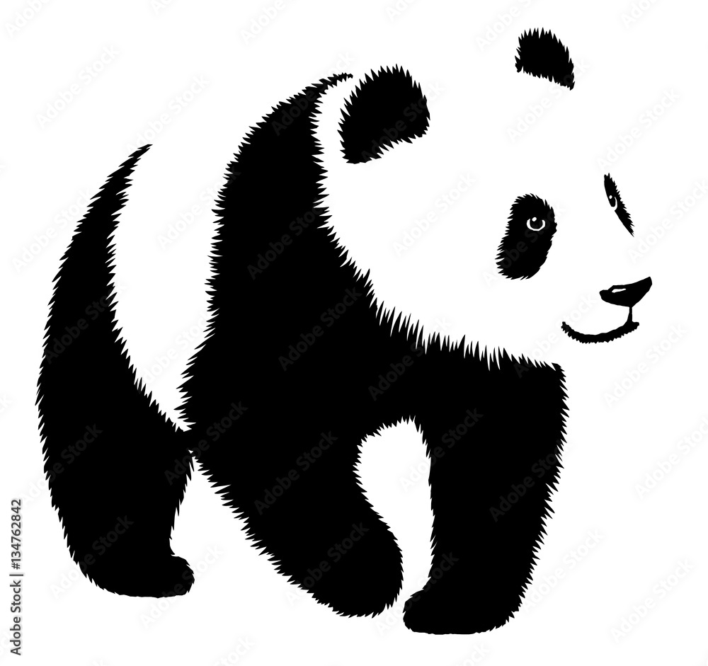 black and white linear paint draw panda illustration Stock Illustration ...