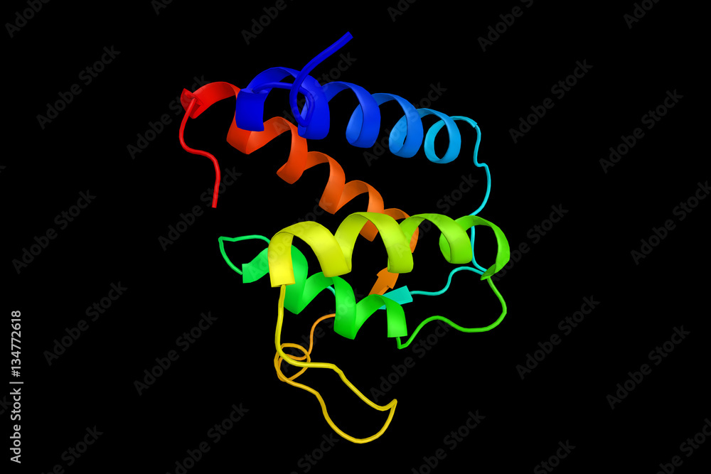 Interleukin 13 (3d model) has effects on immune cells and is sus Stock ...