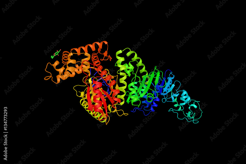 Taq polymerase (3d structure), a thermostable DNA polymerase fre Stock ...