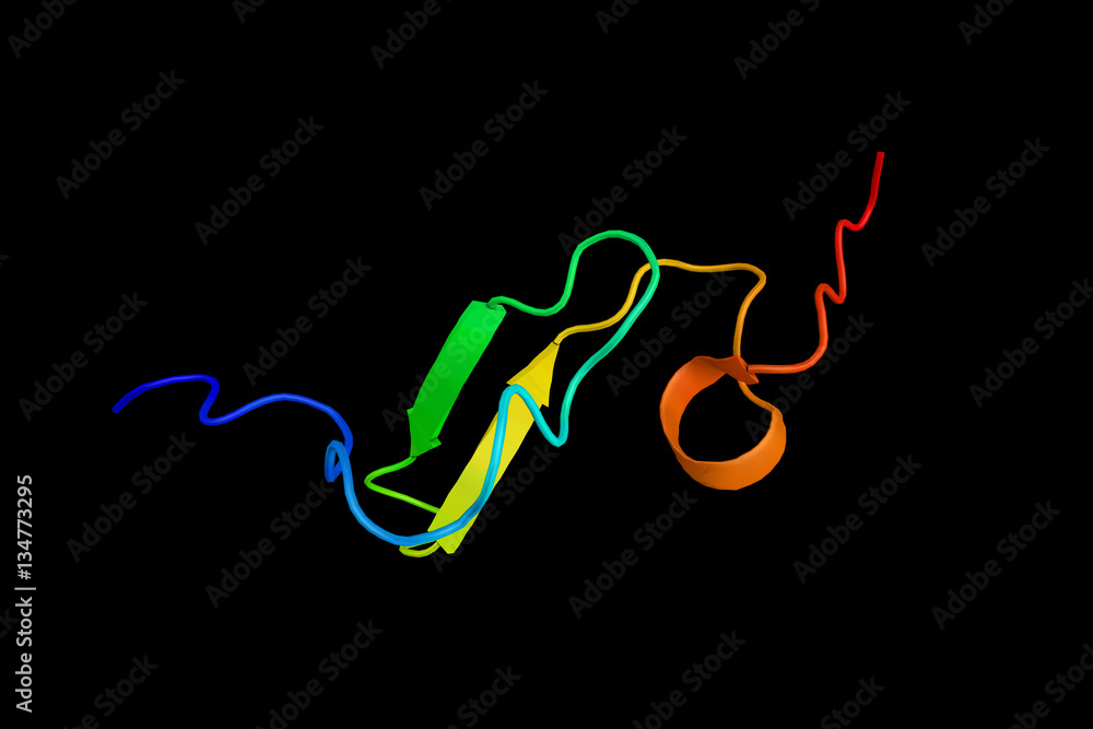 Transforming growth factor alpha, a protein which induces epithe Stock ...