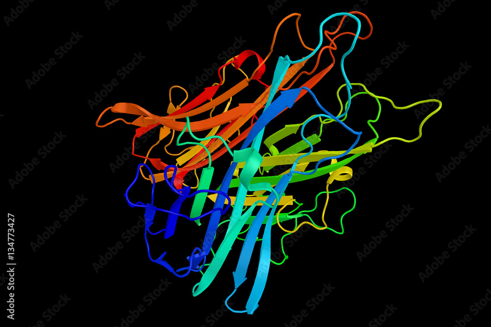 Tumor necrosis factor (3d structure), immune cell regulator, a c Stock ...