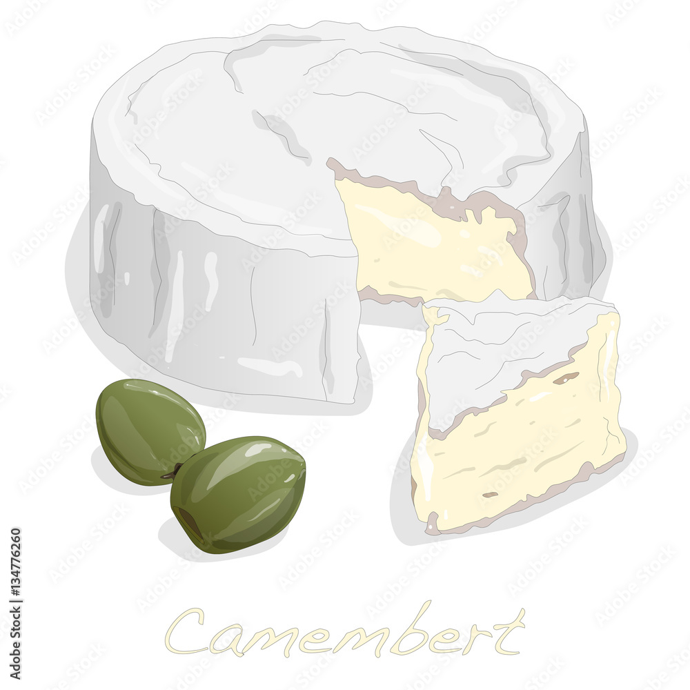 camembert cheese isolated illustration set vector de Stock | Adobe Stock