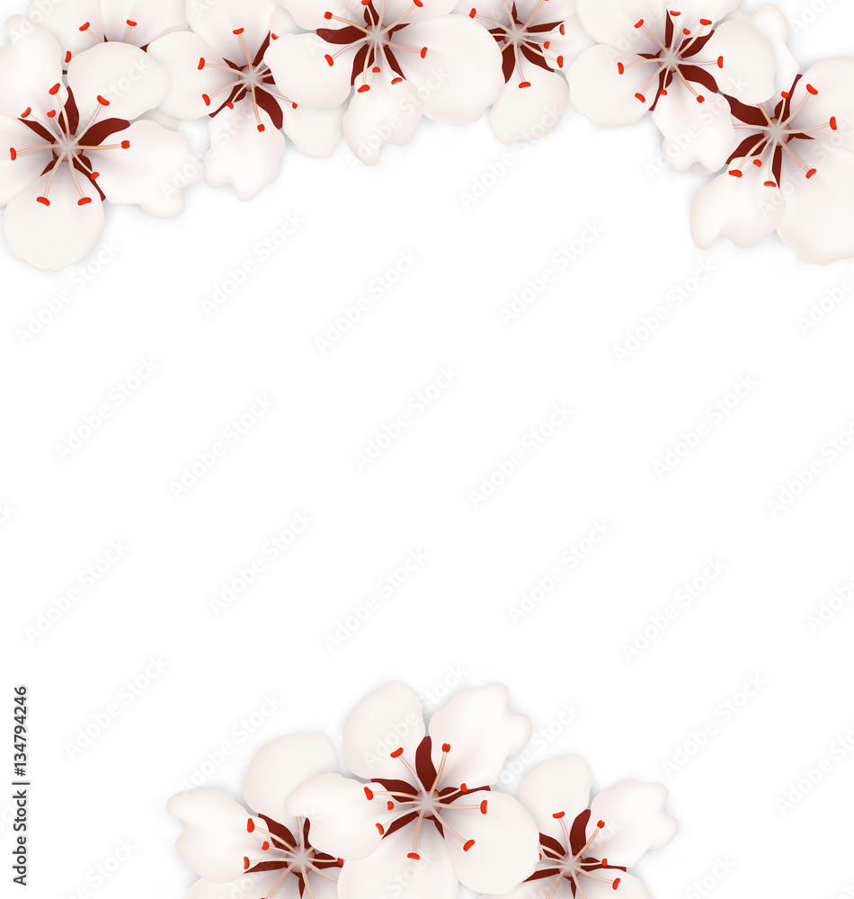 Frame with Sakura Flowers Blossom Stock Illustration | Adobe Stock