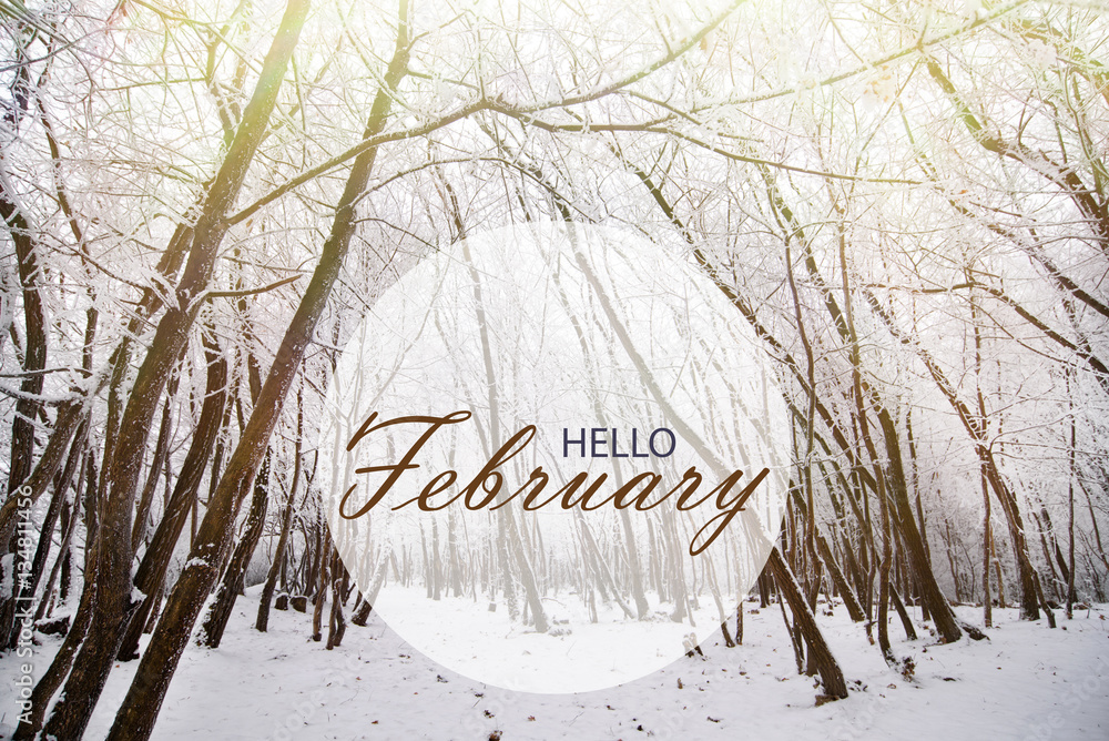 Hello February wallpaper, winter landscape in frozen forest Stock Photo ...