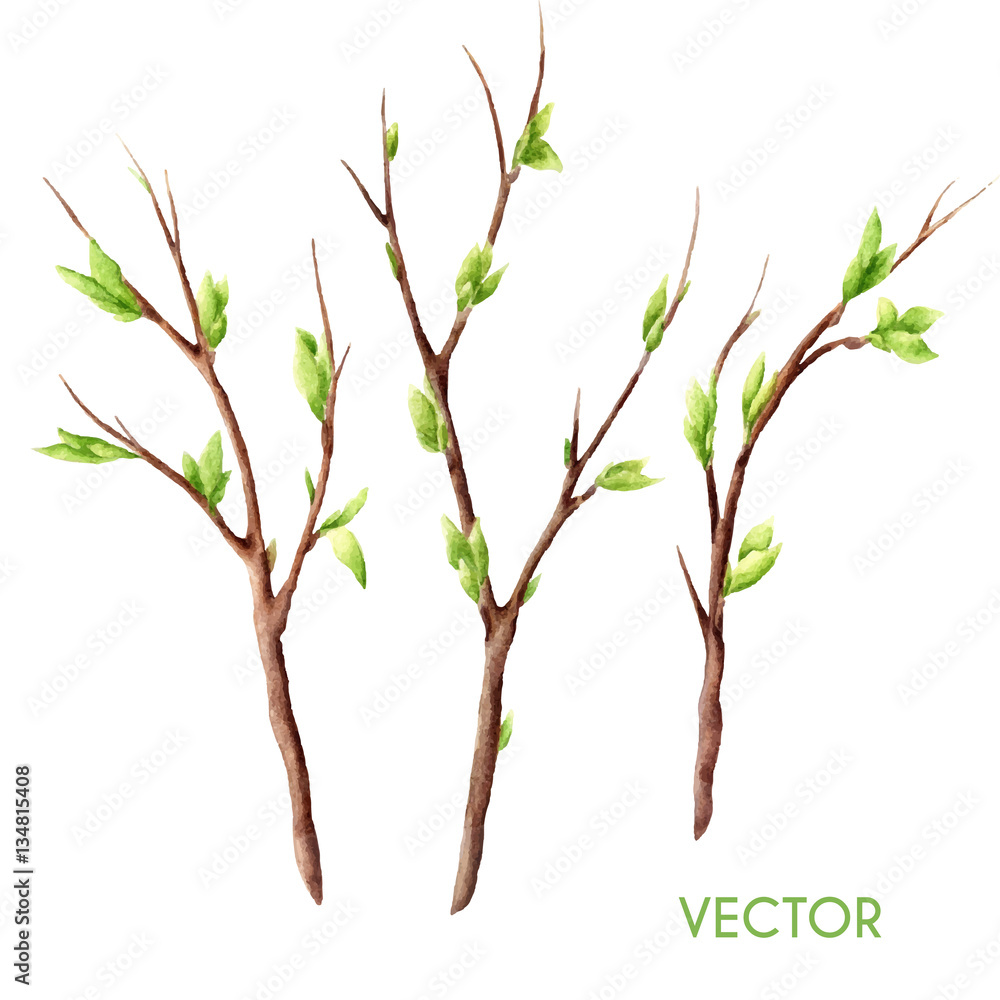 Spring Tree Branch Clipart