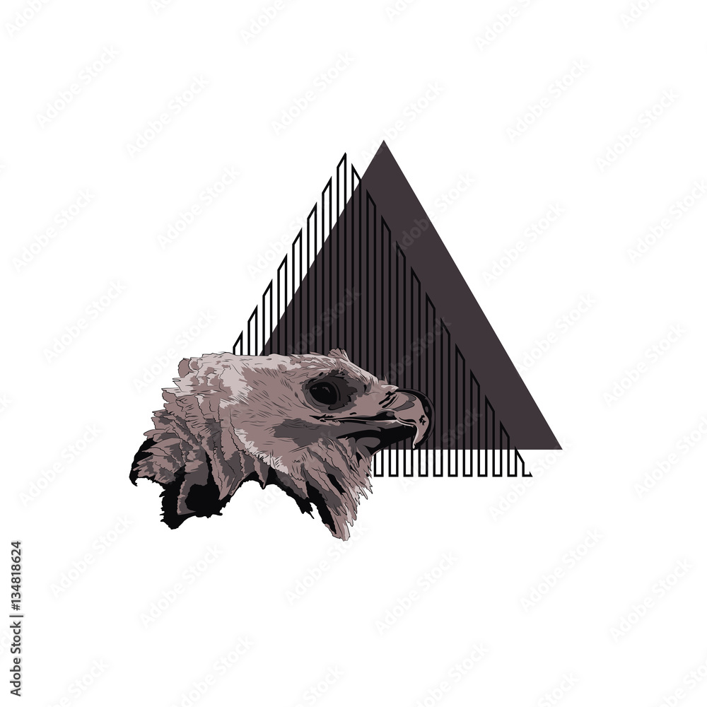 vector bird's head Stock Vector | Adobe Stock