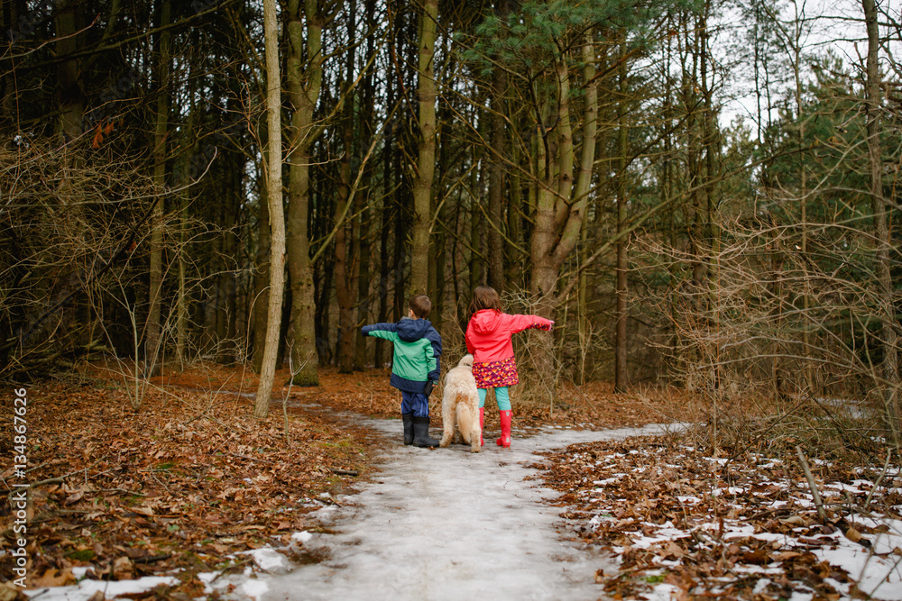 Boy, girl and dog deciding direction to woodland Stock Photo | Adobe Stock