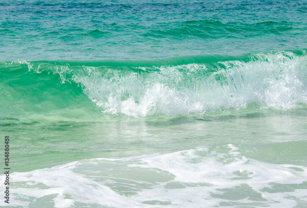 Tropical Beaches Waves