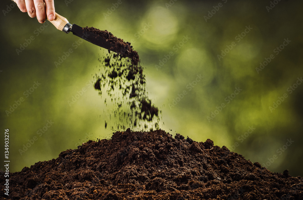 Hand pouring black soil with shovel on green bokeh background. Planting ...