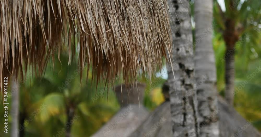 Grass roofed cabana hut resort beach palm trees. Luxury resort on ...