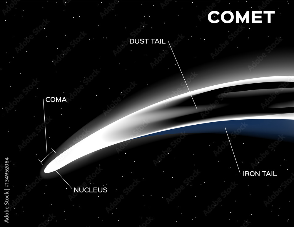 comet anatomy vector Stock Vector | Adobe Stock
