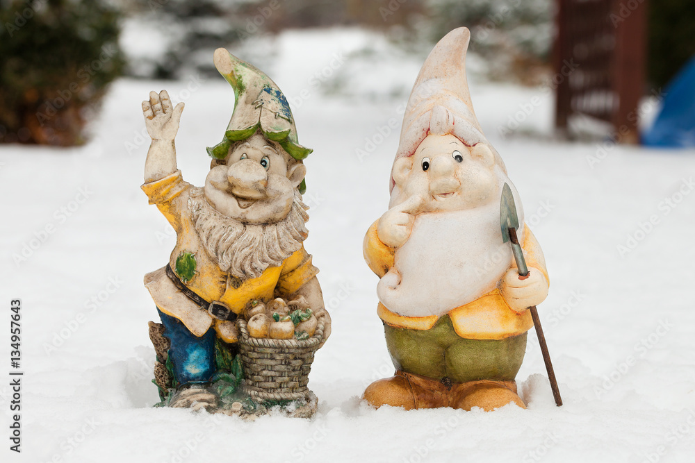 Couple of garden dwarves in winter garden. Funny garden gnomes on the ...