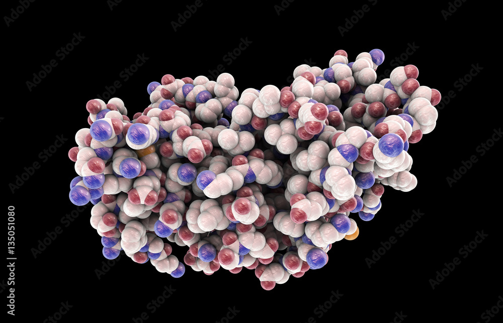 Molecular model of interferon-gamma 3D illustration. IFN-gamma is a ...
