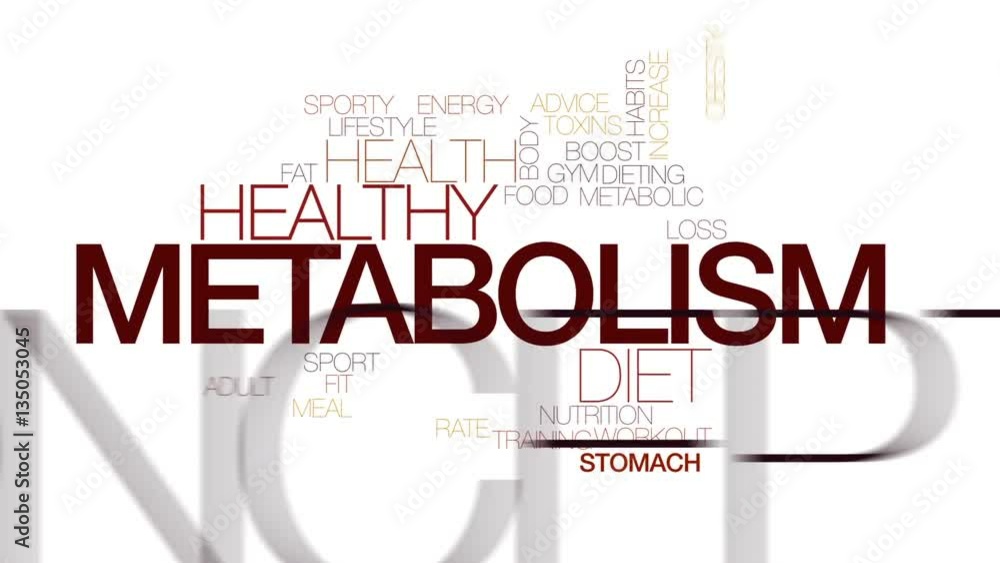 Metabolism animated word cloud, text design animation. Kinetic ...