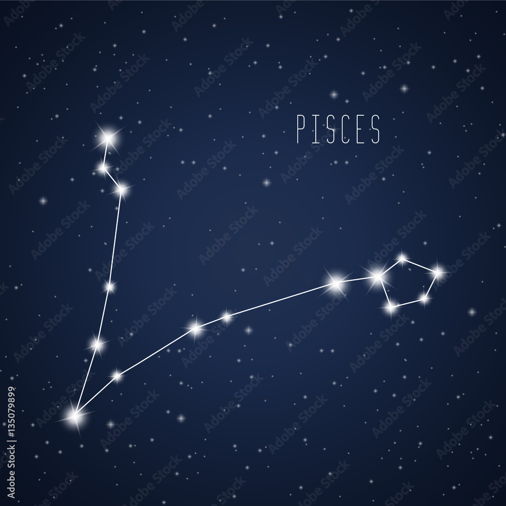 Vector illustration of Pisces constellation on the background of starry ...