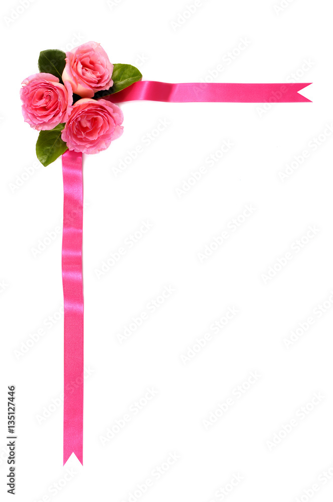 Pink rose and ribbon flower border frame isolated on white background ...