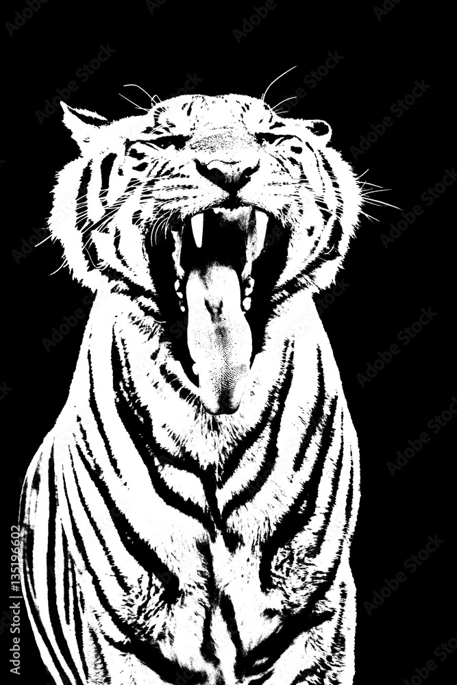 Tiger Stencil Printable