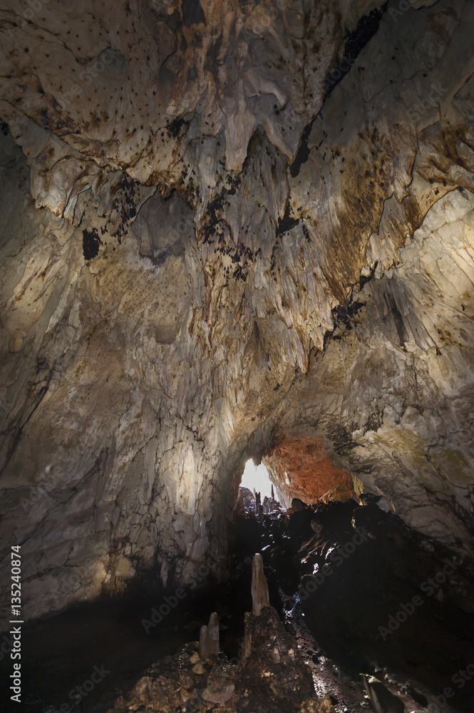 Bat Guano Cave