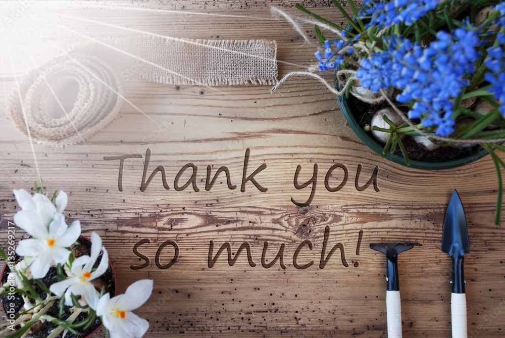 Sunny Spring Flowers, Text Thank You So Much Stock Photo | Adobe Stock