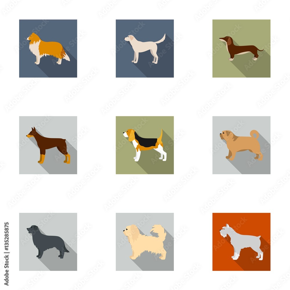 Dog breeds set icons in flat style. Big collection of dog breeds vector ...