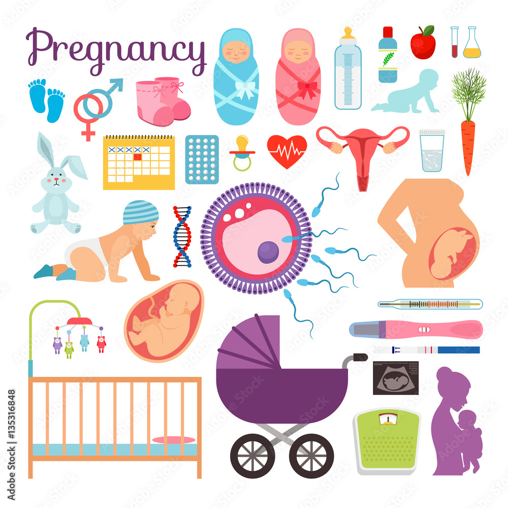 Pregnant Baby Vector