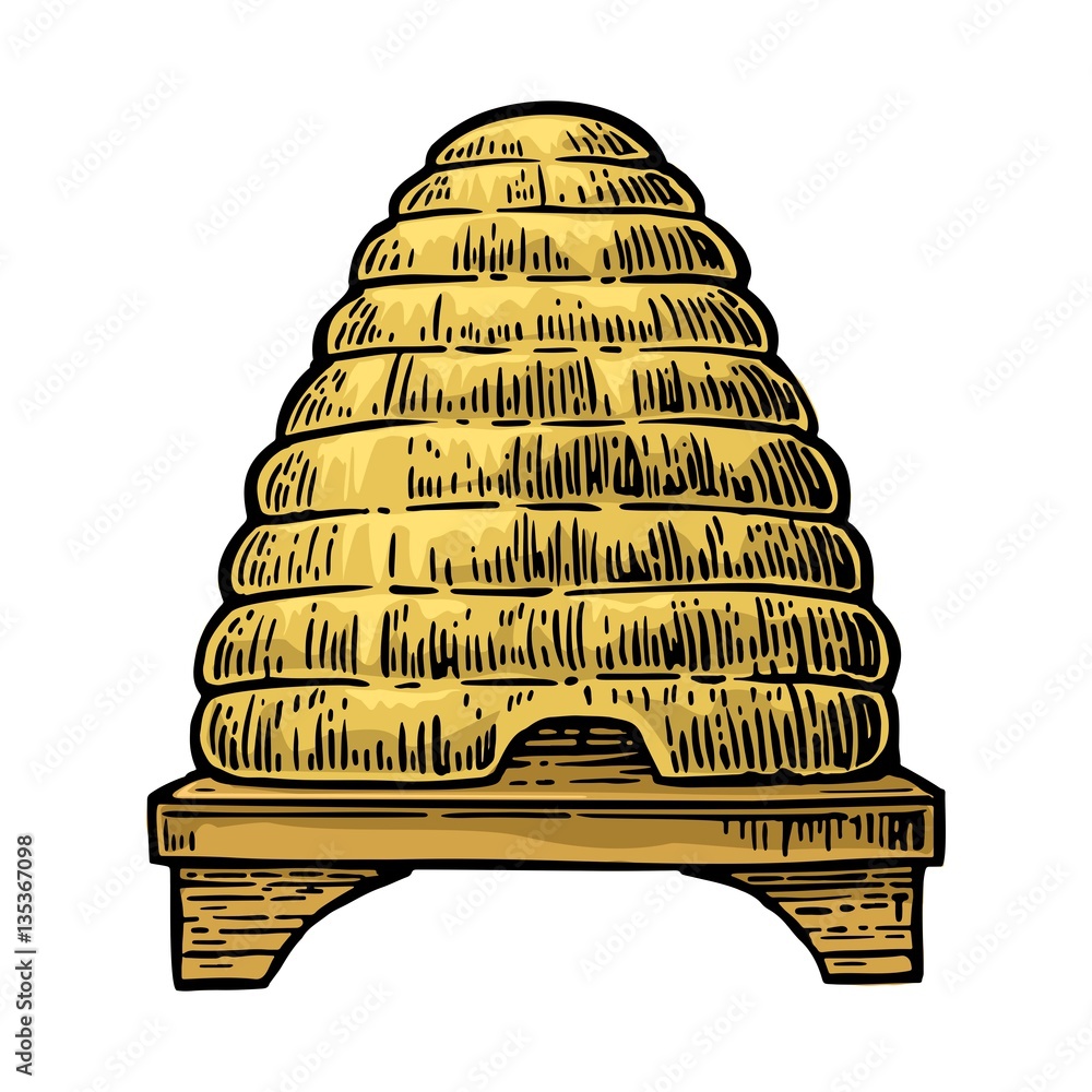 Beehive. Vector vintage engraved illustration. Stock Vector | Adobe Stock